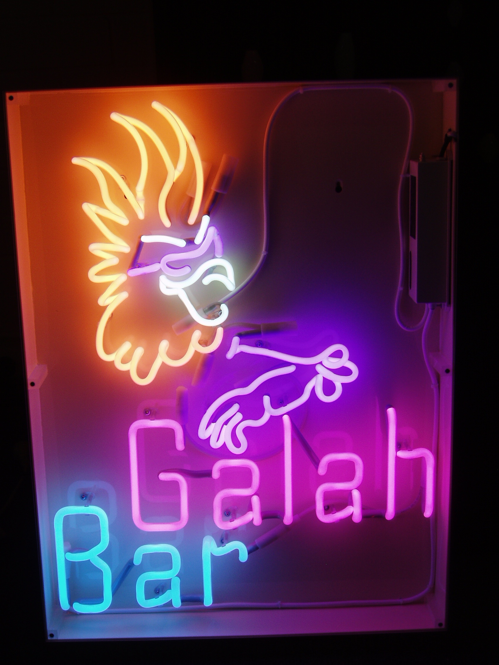 Write Light Neon - neon lights Perth, Western Australia. Also with neon ...